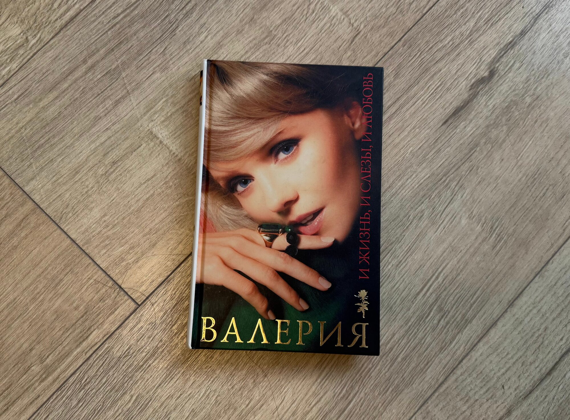Валерия. И жизнь, и слезы, и любовь (роман), 2006 г