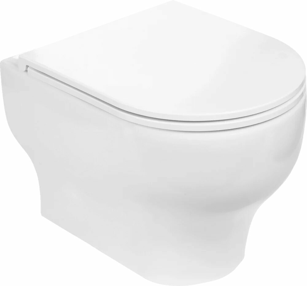 Унитаз подвесной Weltwasser WW SK Erlenbach 004GL-WT с микролифтом, безободковый, без бачка, антивсплеск, фаянсовый, белый, овальный, сиденье для унитаза в комплекте