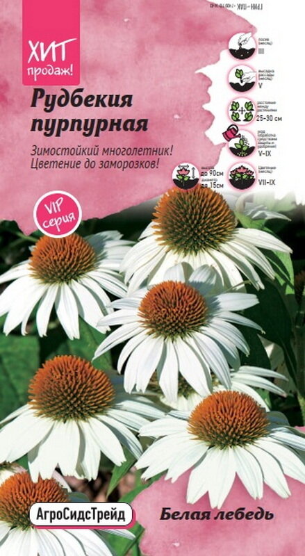 Семена цветов Агросидстрейд рудбекия пурпурная Белая лебедь, для дачи, сада, огорода и на рассаду