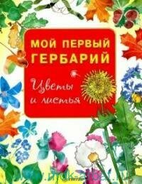 Книга "Мой первый гербарий. Цветы и листья"