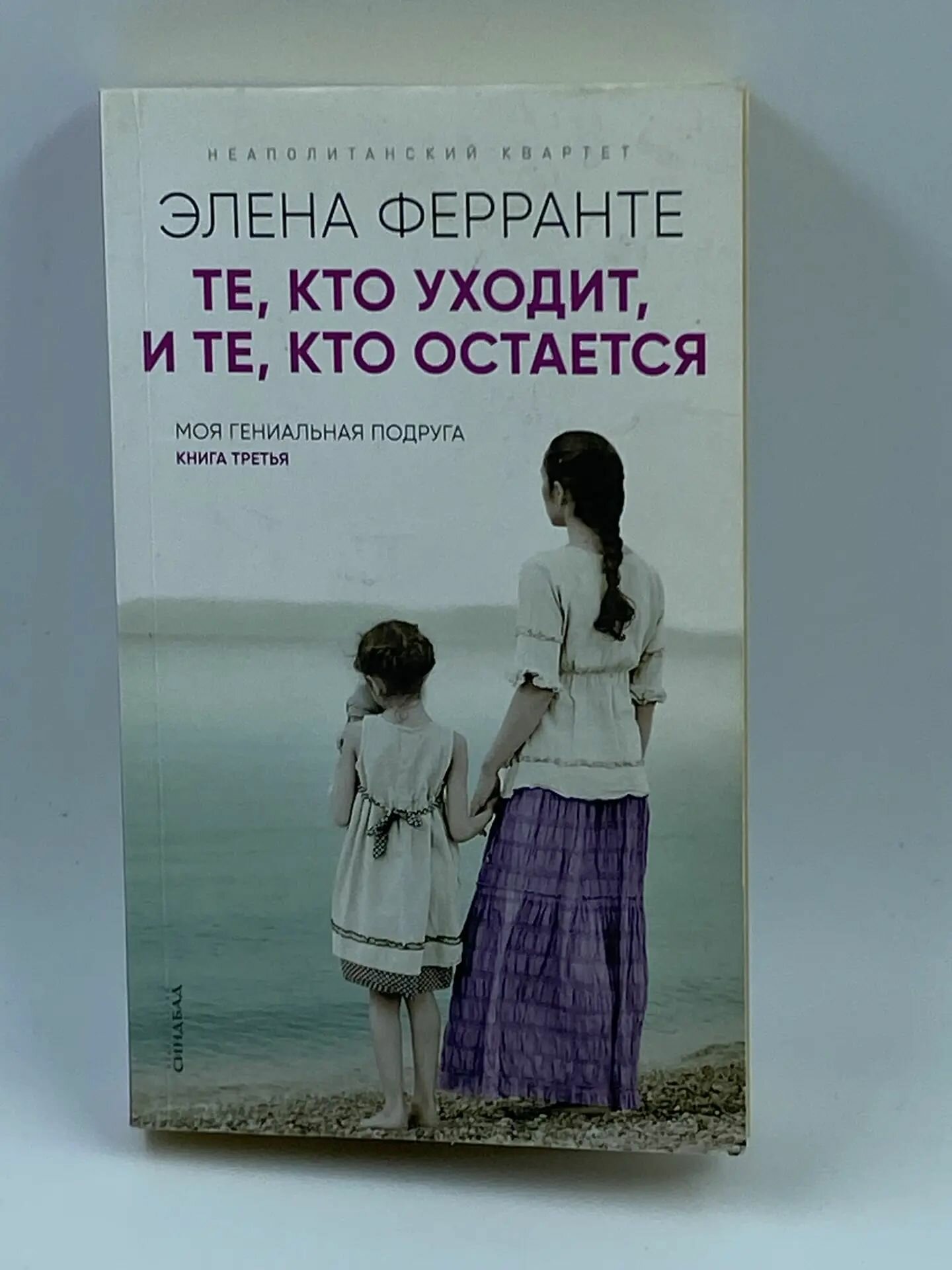 Те, кто уходит, и те, кто остается. Моя гениальная подруга. Кн. 3. Молодость