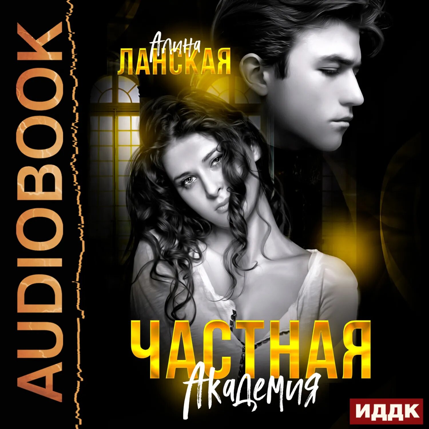 Частная Академия. Книга 1 [Аудиокнига]