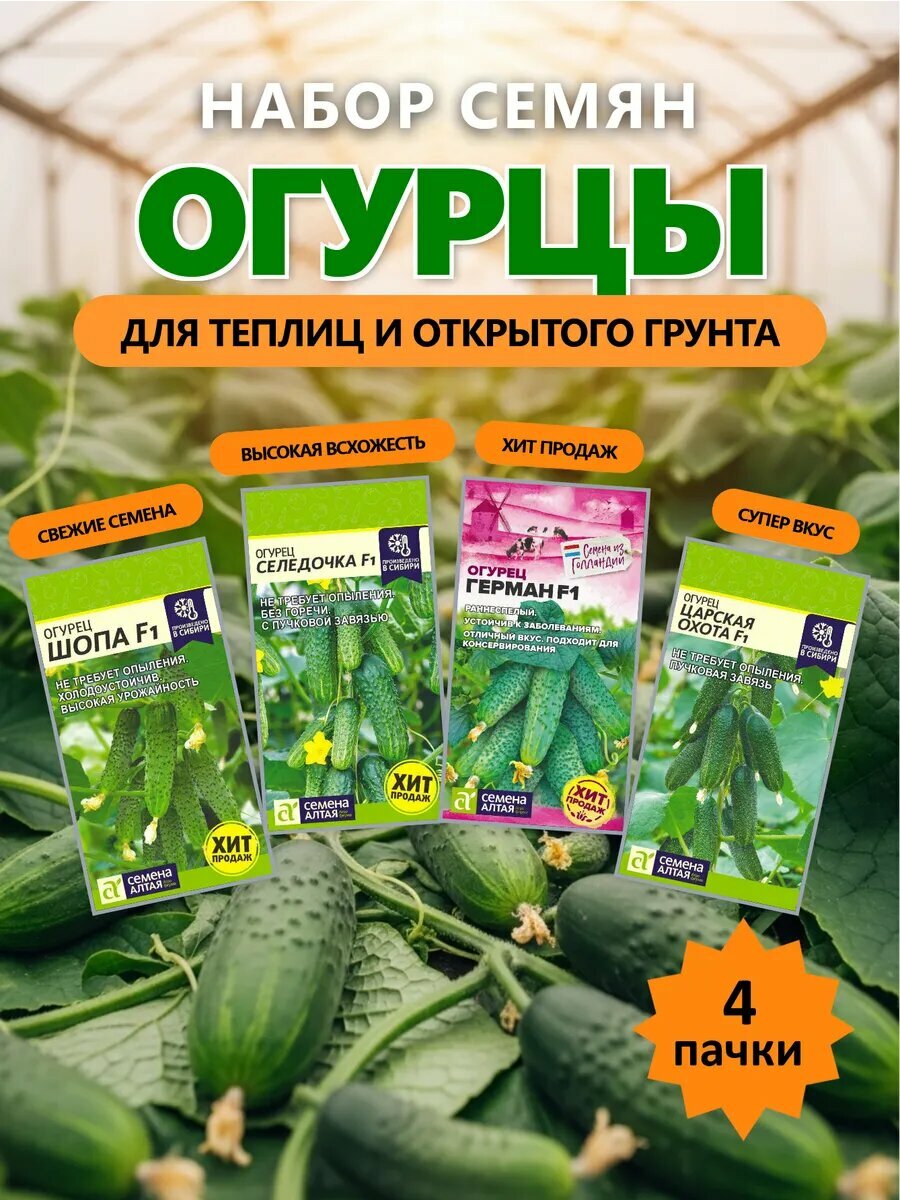 Набор семян огурцов для теплиц и открытого грунта, 4 сорта, семена Алтая
