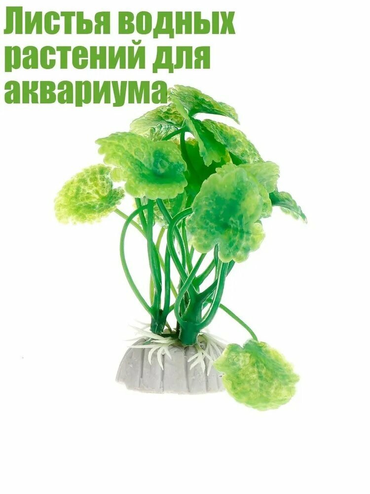 Листья водных растений для аквариума, Зеленый
