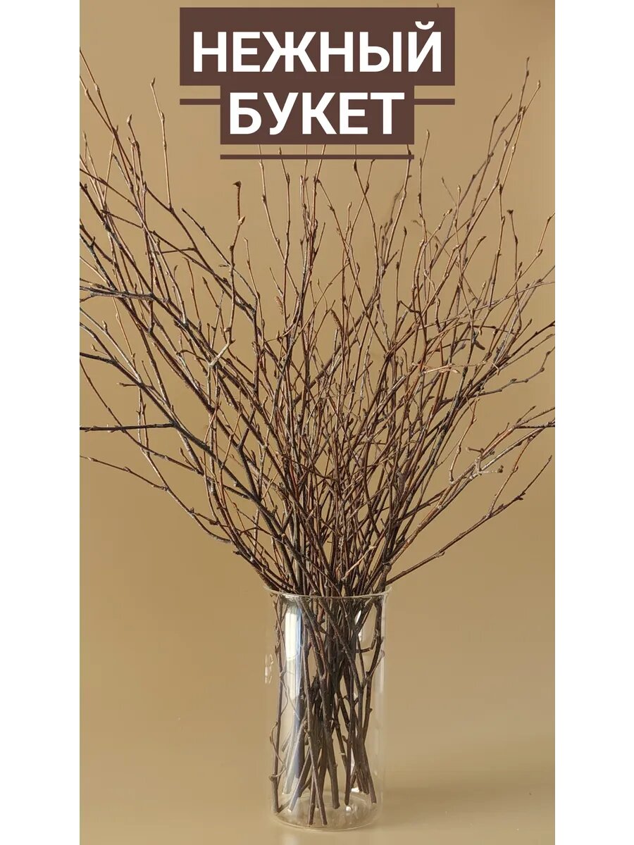 Ветки InMan, для декора и интерьера с гирляндой, береза, высота 30-55 см, 20 штук.(пасхальное дерево)