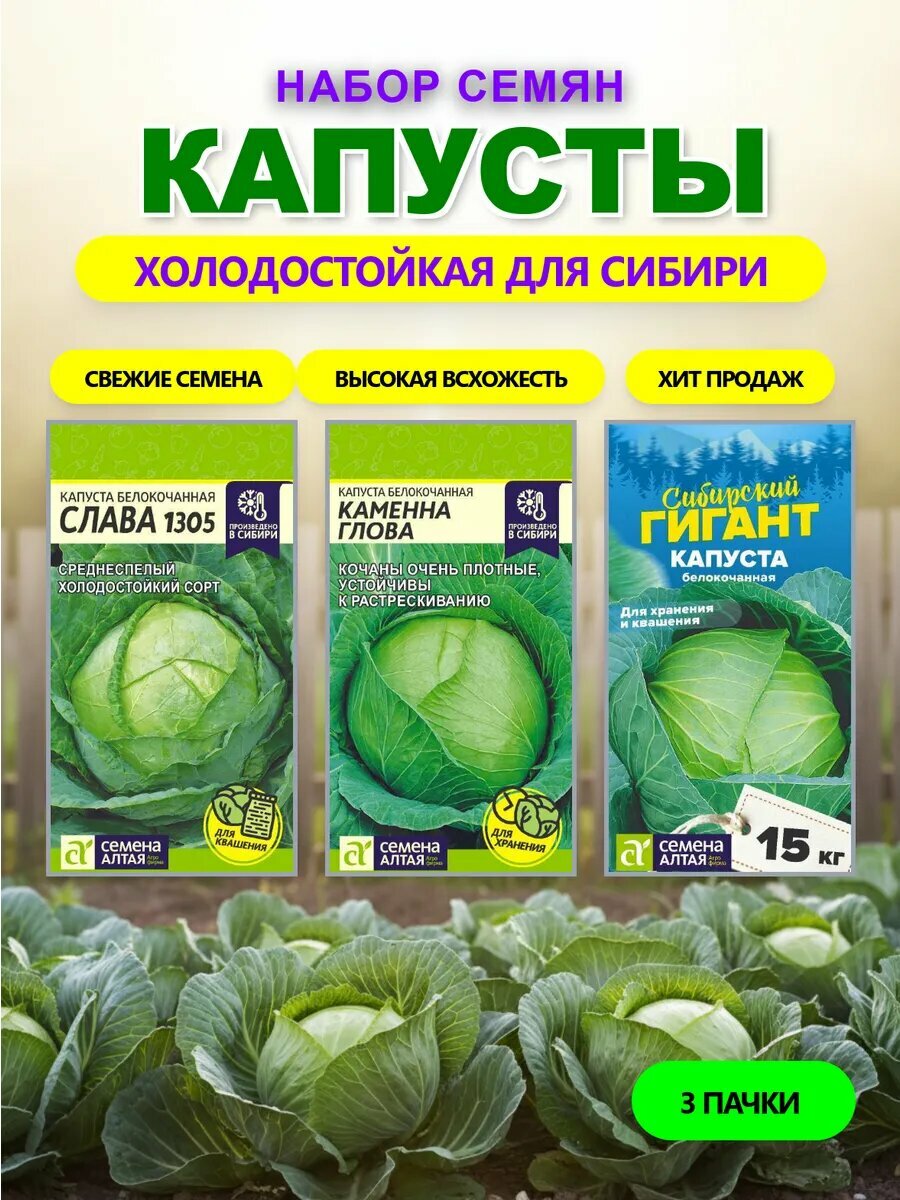 Набор семян капусты сорта для Сибири, 3 сорта, бренд Семена Алтая