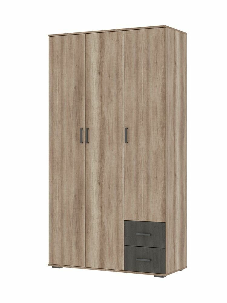 Шкаф распашной для одежды с ящиками 3х створчатый, 120x220x50 см, Нельсон ШК 01