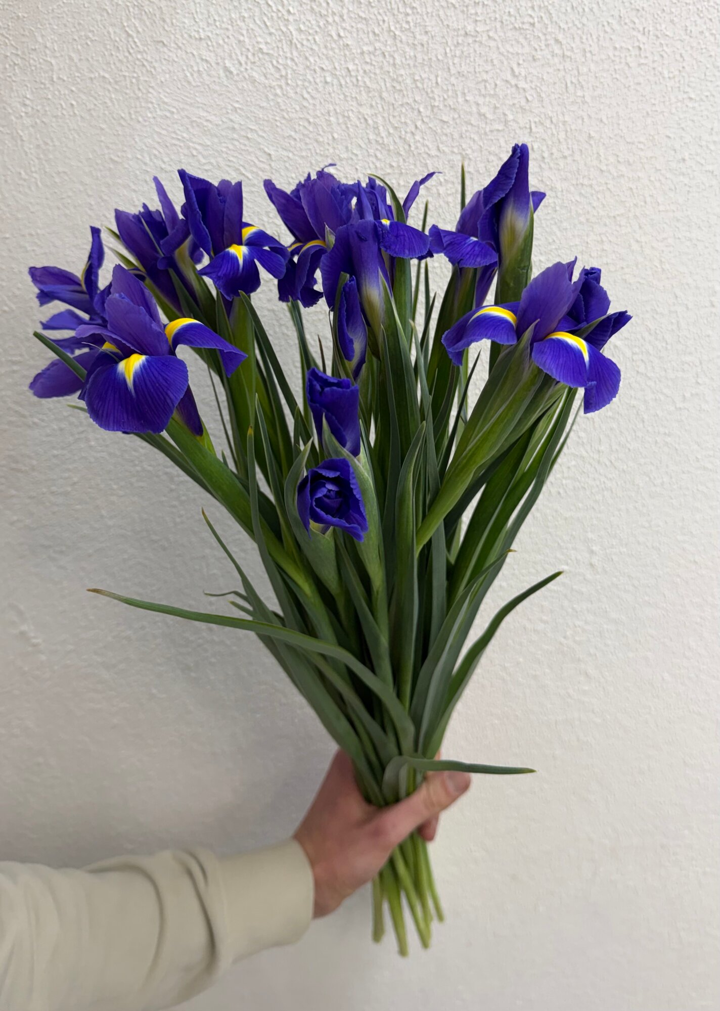 Букет ирисов