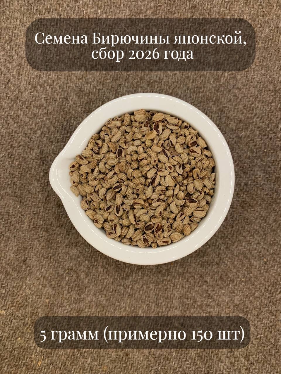 Семена Бирючины японской бонсай, 5 грамм (примерно 150 шт)