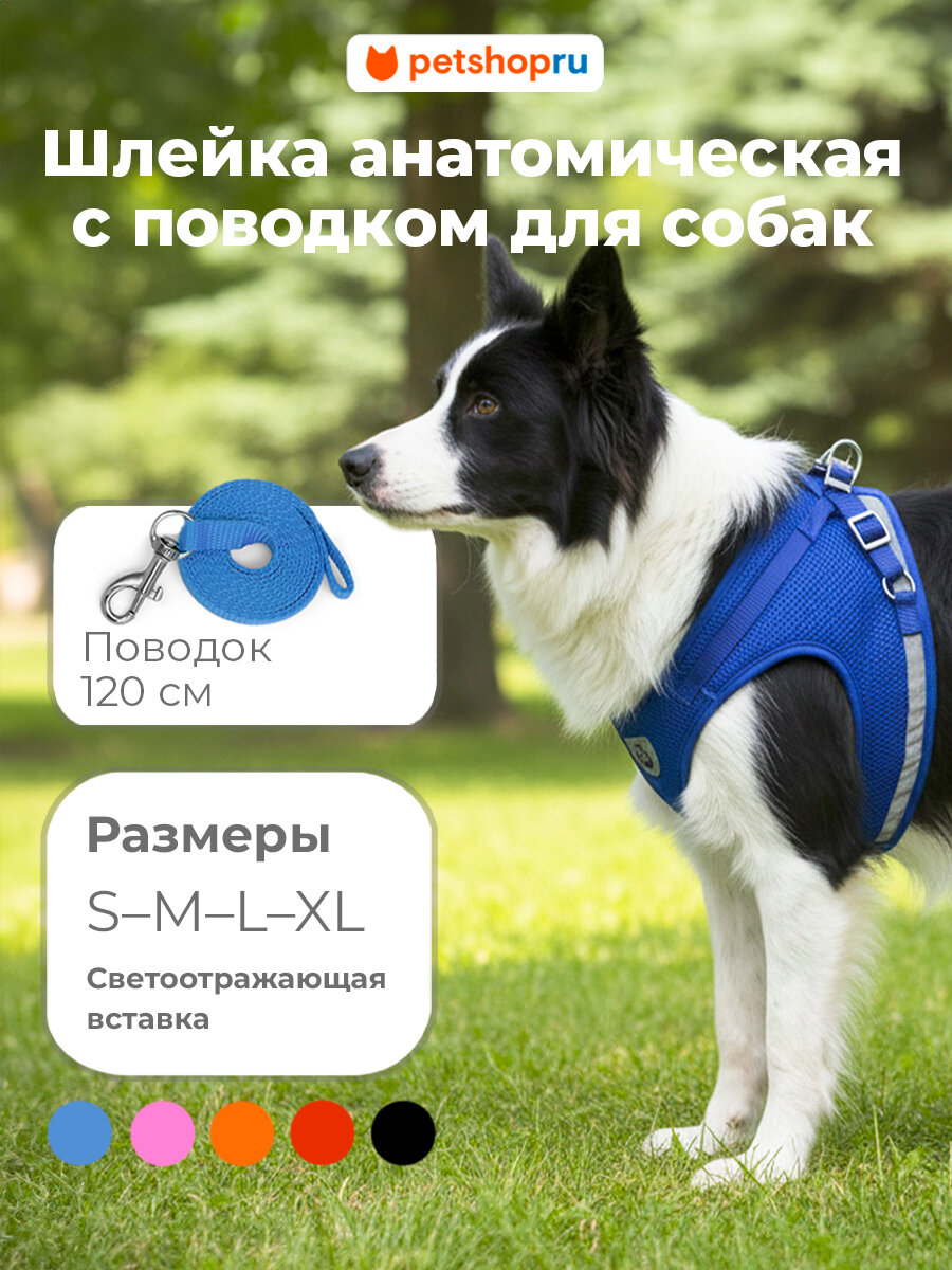 PETSHOP Шлейка с поводком для собак "Тандем", S