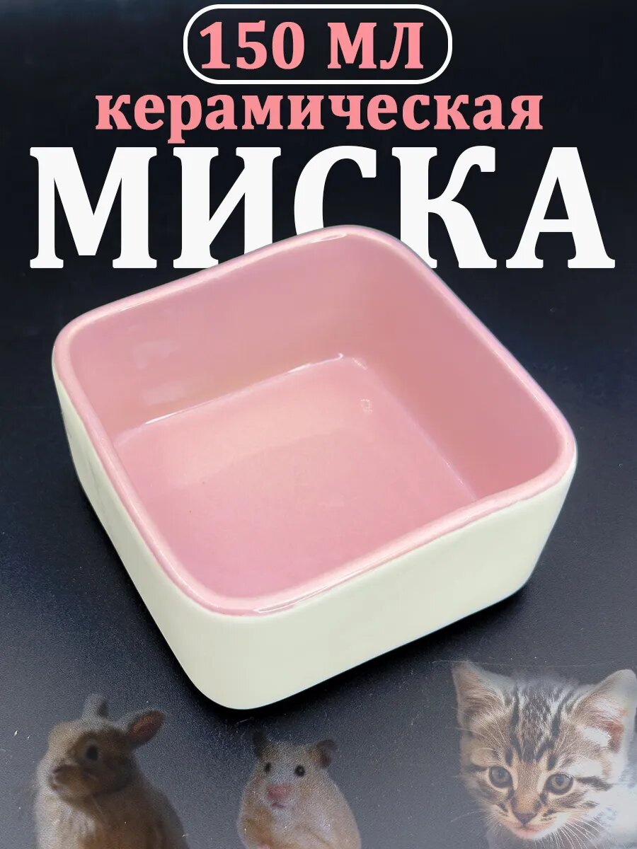 Миска керамическая для кошек и грызунов