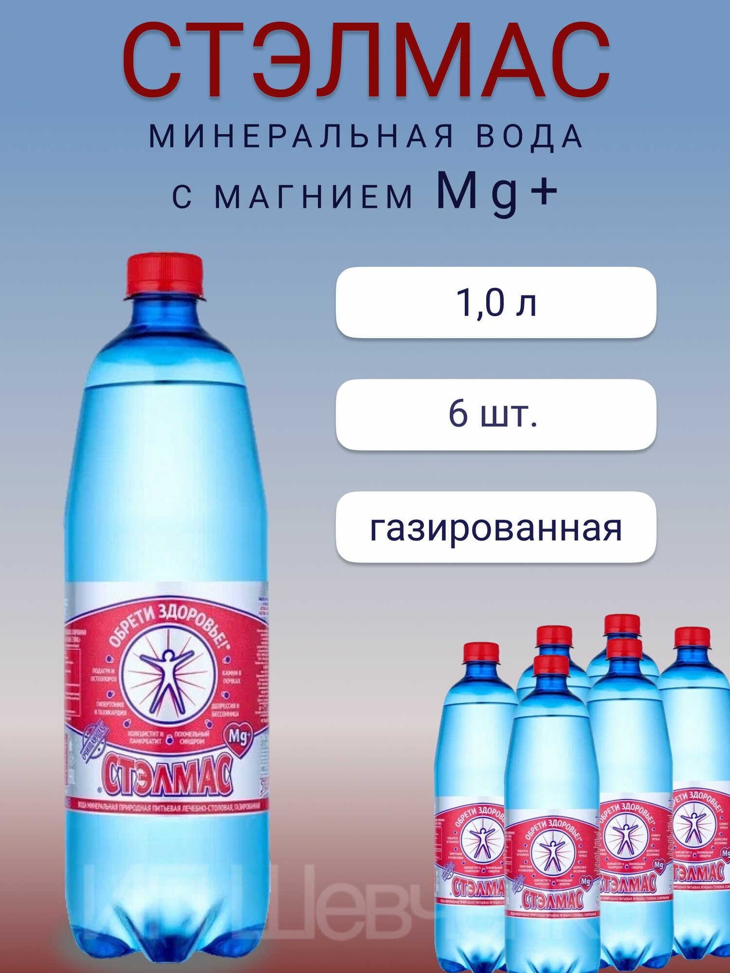 Вода минеральная STELMAS Mg+ (Стэлмас Магний) 1,0 л х 6 бутылок, газированная, пэт