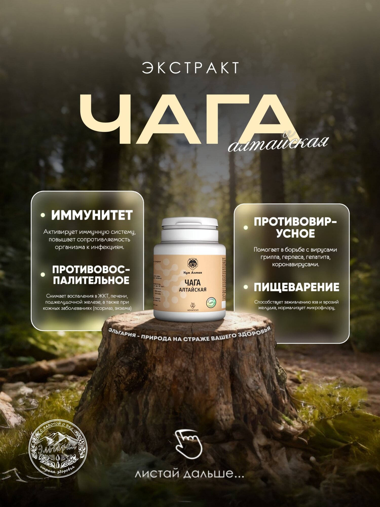 Экстракт чаги КумАлтая, 60 капсул, 0,5 г, для иммунитета, противоопухолевые свойства