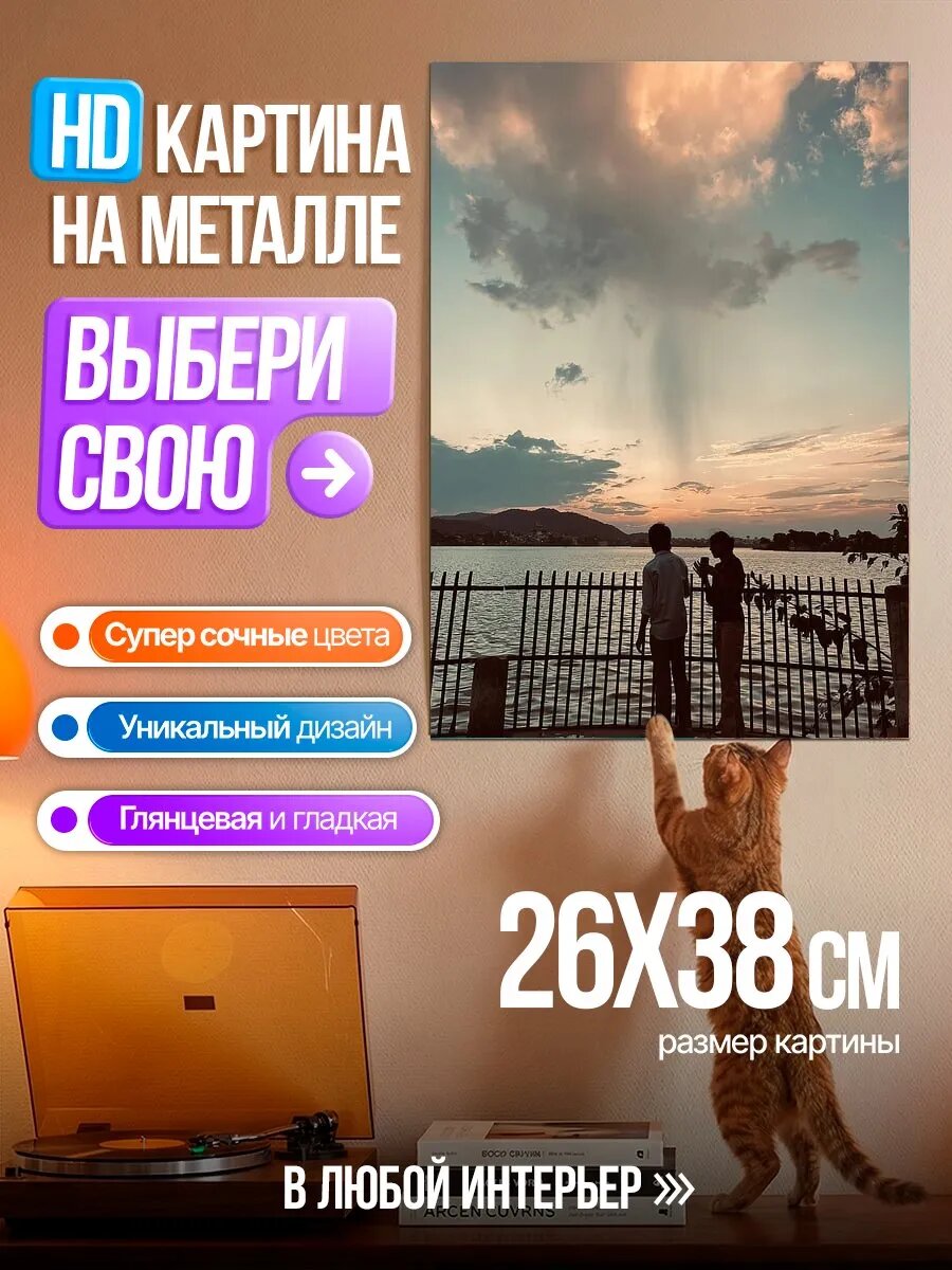 Картина на HD металле Двое смотрят на закат
