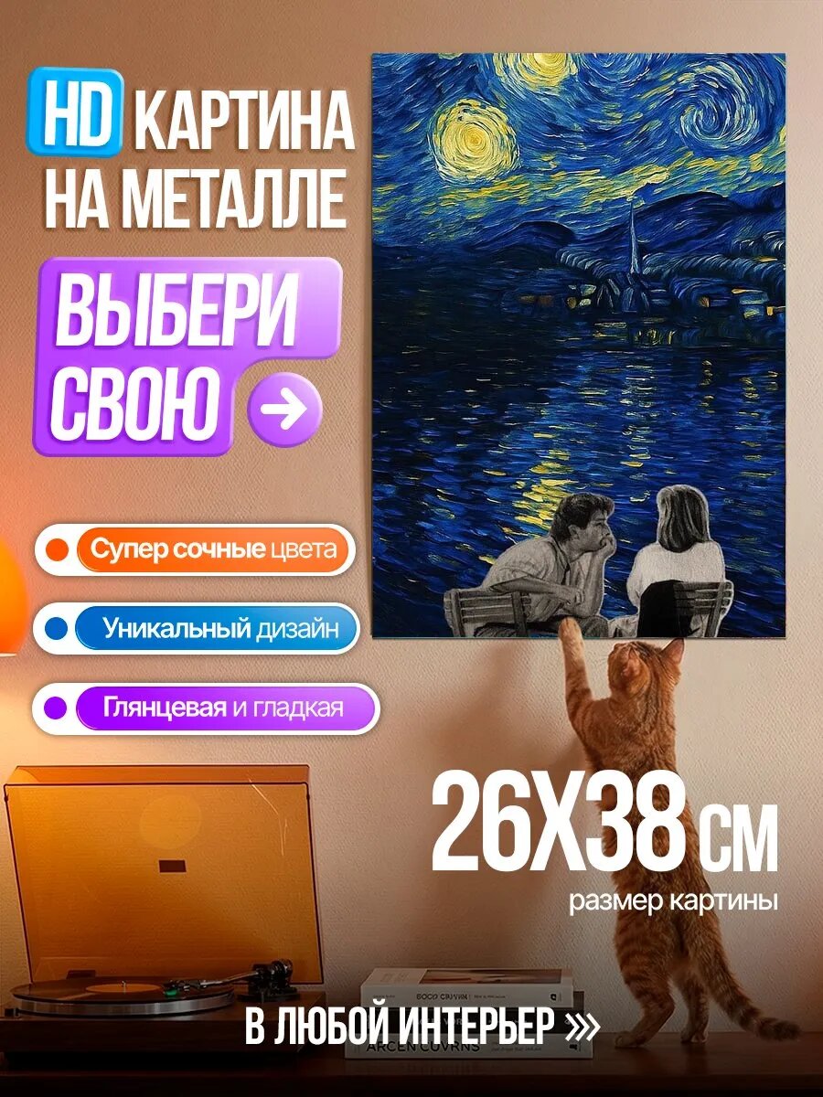 Картина на HD металле Звездная ночь пара
