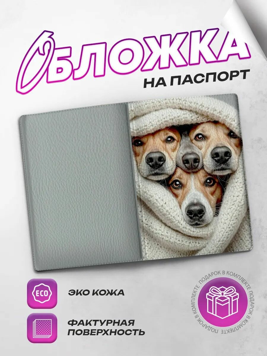 Обложка для паспорта