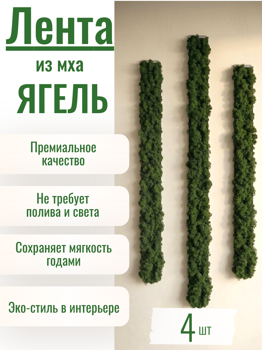 Лента из стабилизированного мха на скотче 4х60 см 4шт в комплекте