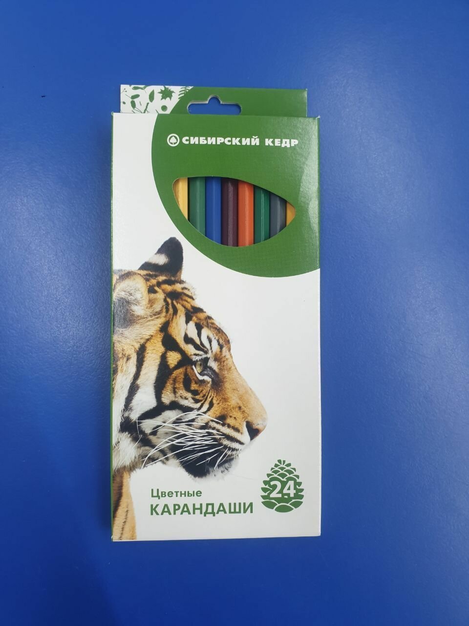 Набор цветных карандашей 24 цвета "Сибирский кедр".