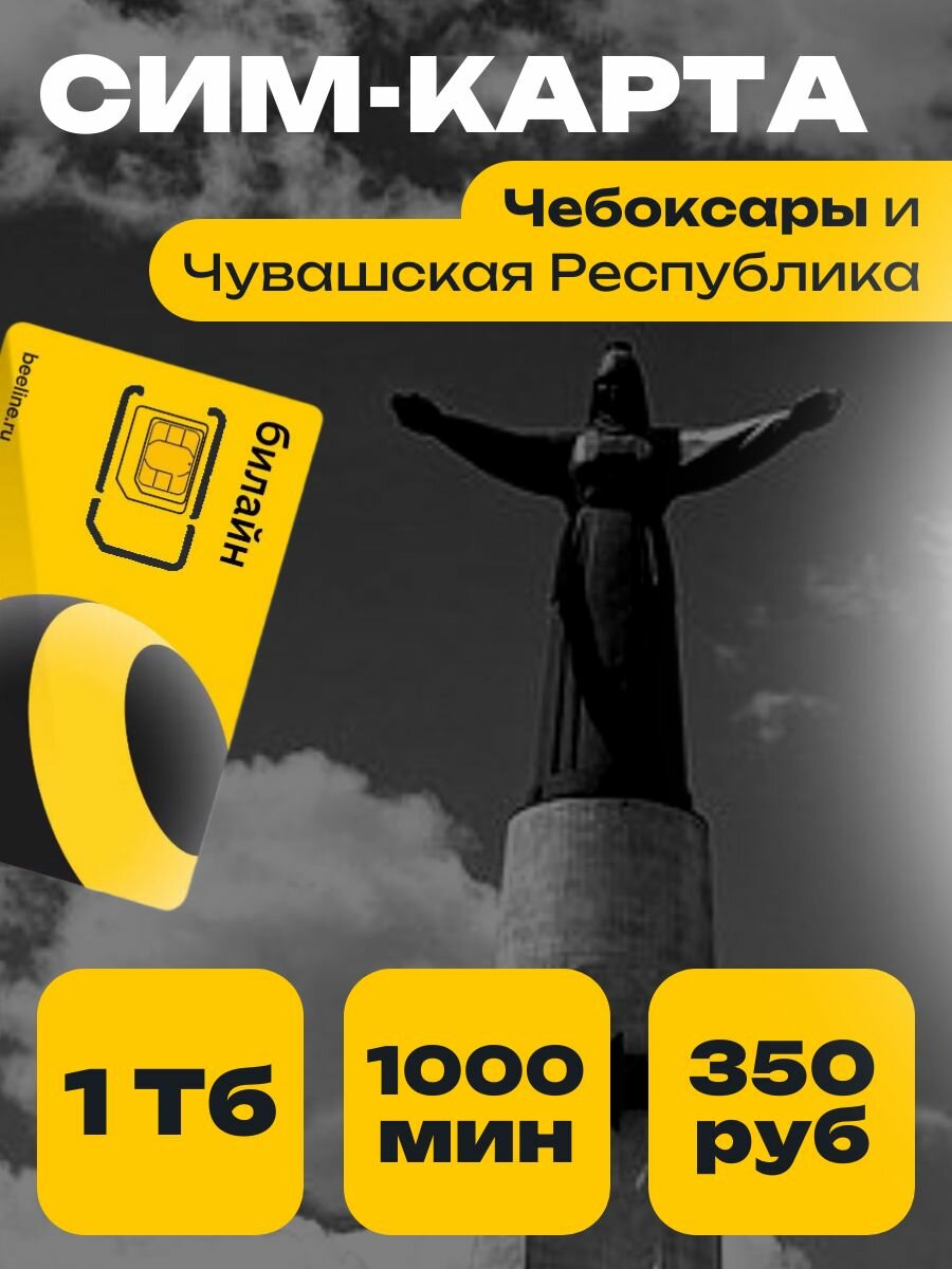Сим-карта Билайн тариф Эксклюзивный Плюс Чувашская республика 1000 Гб + 1000 минут за 350 руб.