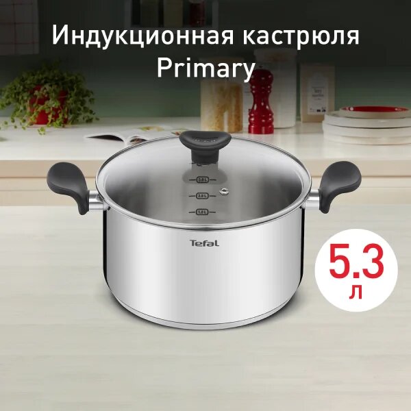 Кастрюля Tefal "Primary" (E3084674), 5,2л, 24см, нержавеющая сталь, антипригарное покрытие