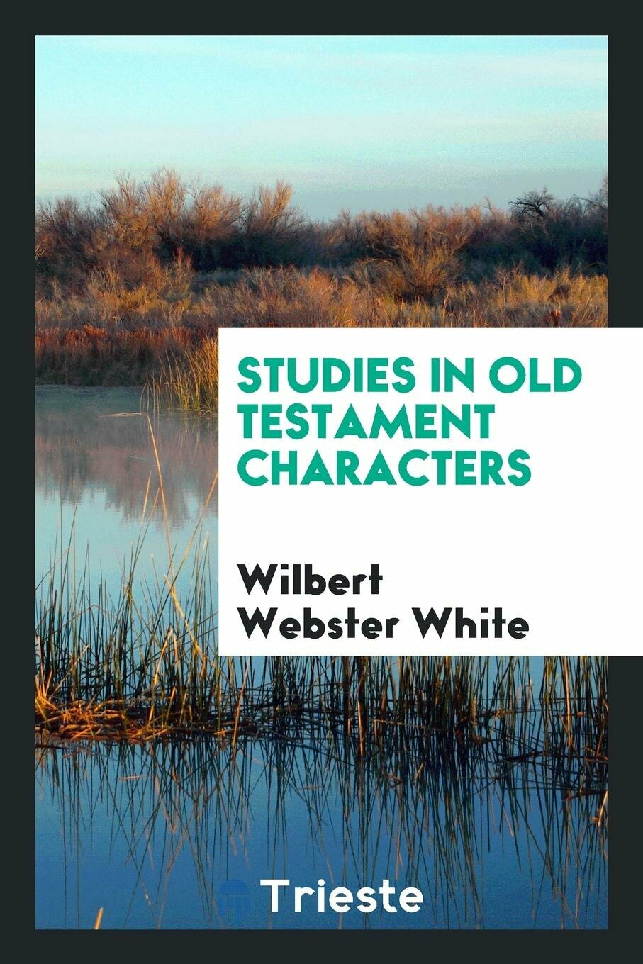 Studies in Old Testament characters — фото 1