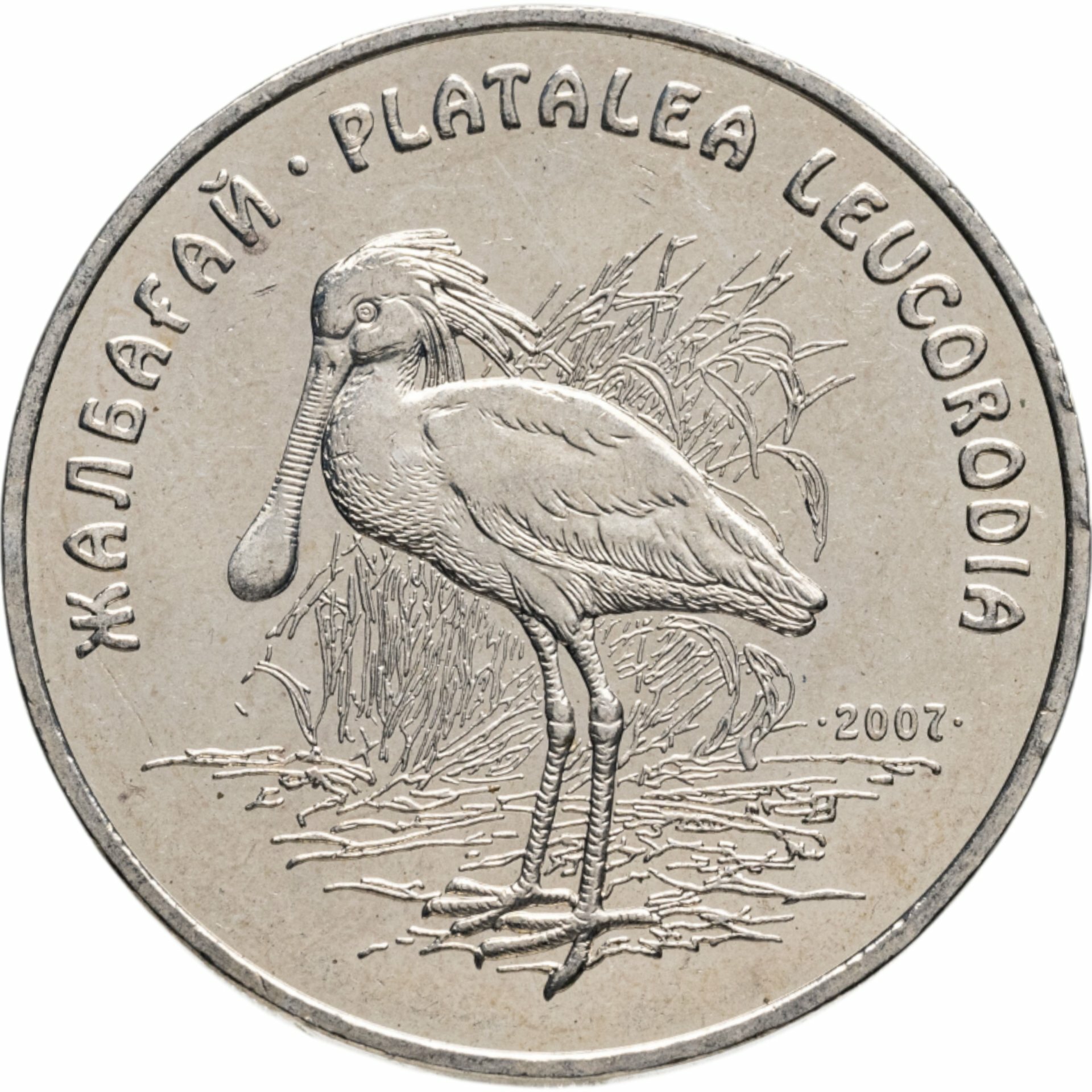 Казахстан 50 тенге 2007 Красная Книга - Колпица, Мельхиор медь-никель, в сохранности UNC