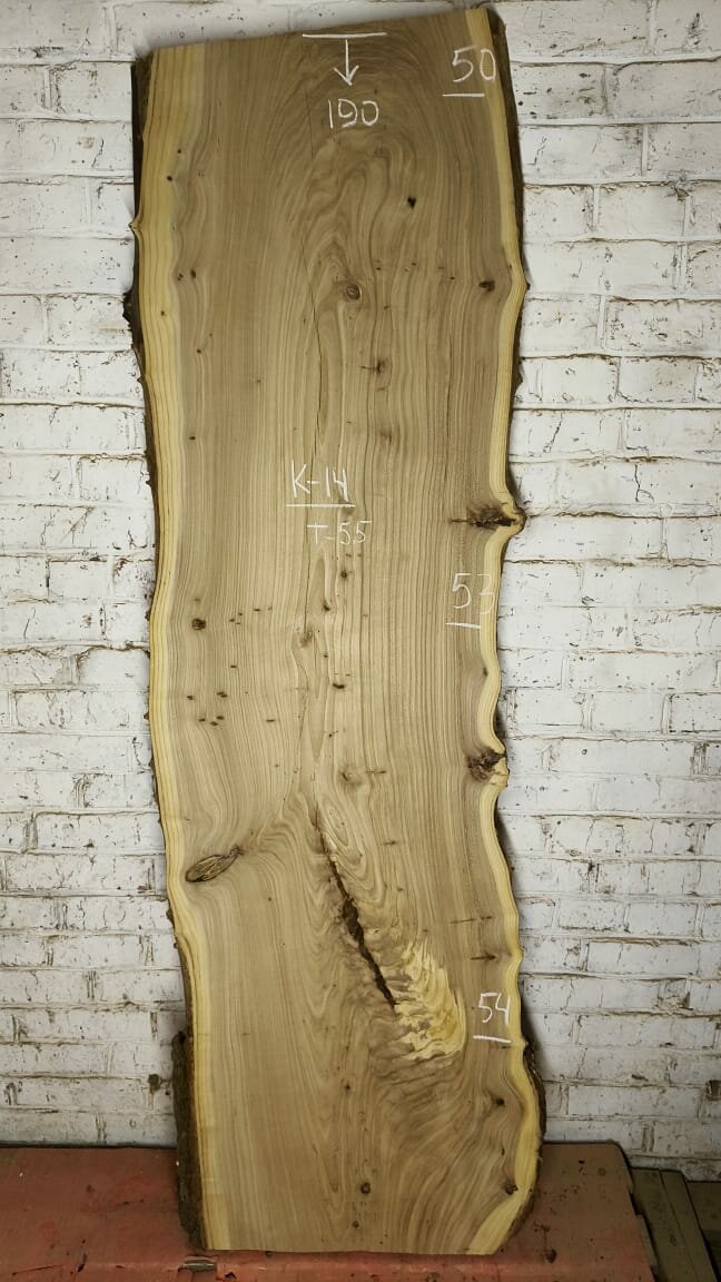 Слэб дерева Карагач К14, выровнен в плоскости, влажность 8-10%