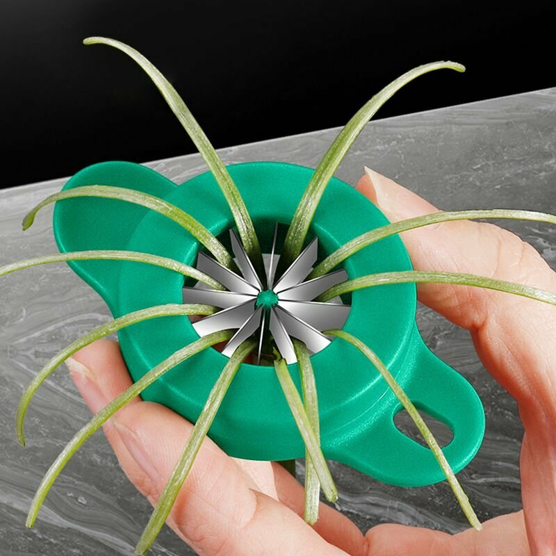 Зеленый Лук Шредер