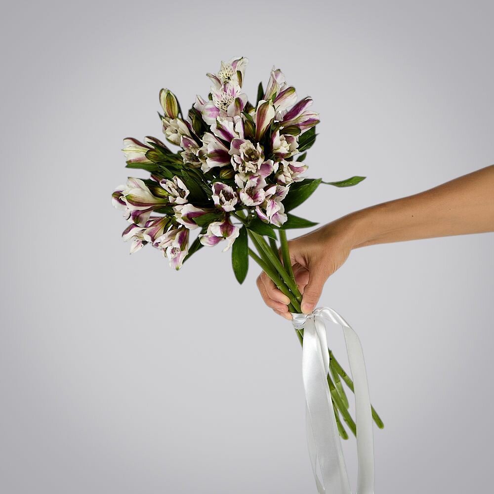 Монобукет из 5 альстромерий под ленту