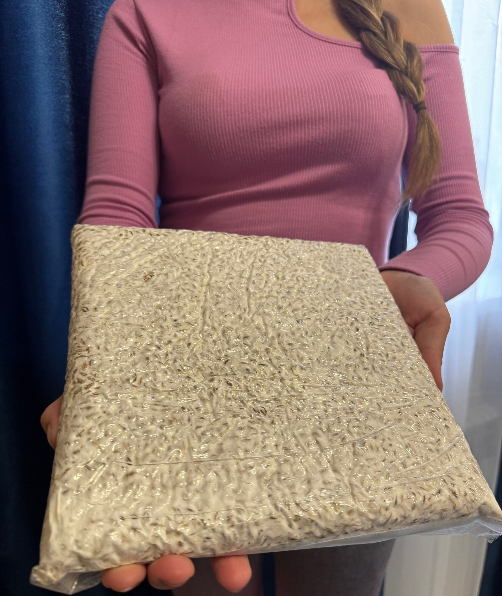 Мицелий грибов вешенка зерновой (штамм НК35) - 1 кг.