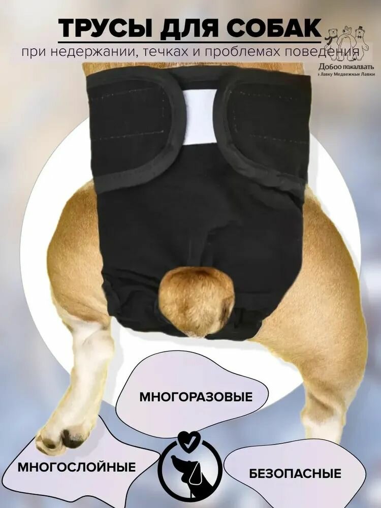 Трусы для собак во время течки многоразовые