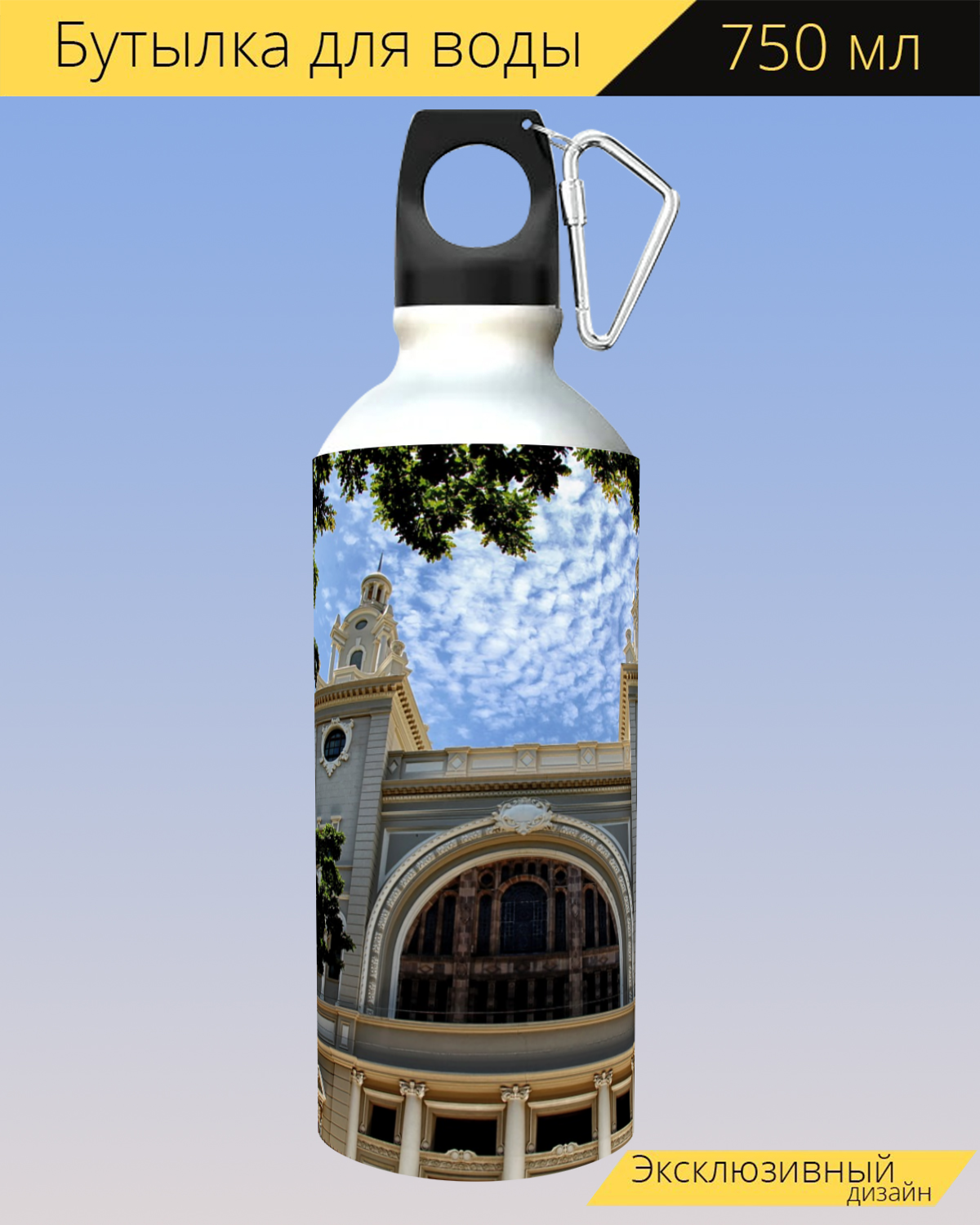 Бутылка фляга для воды "Большая синагога, кейптаун, южная африка" 750 мл. с карабином и принтом