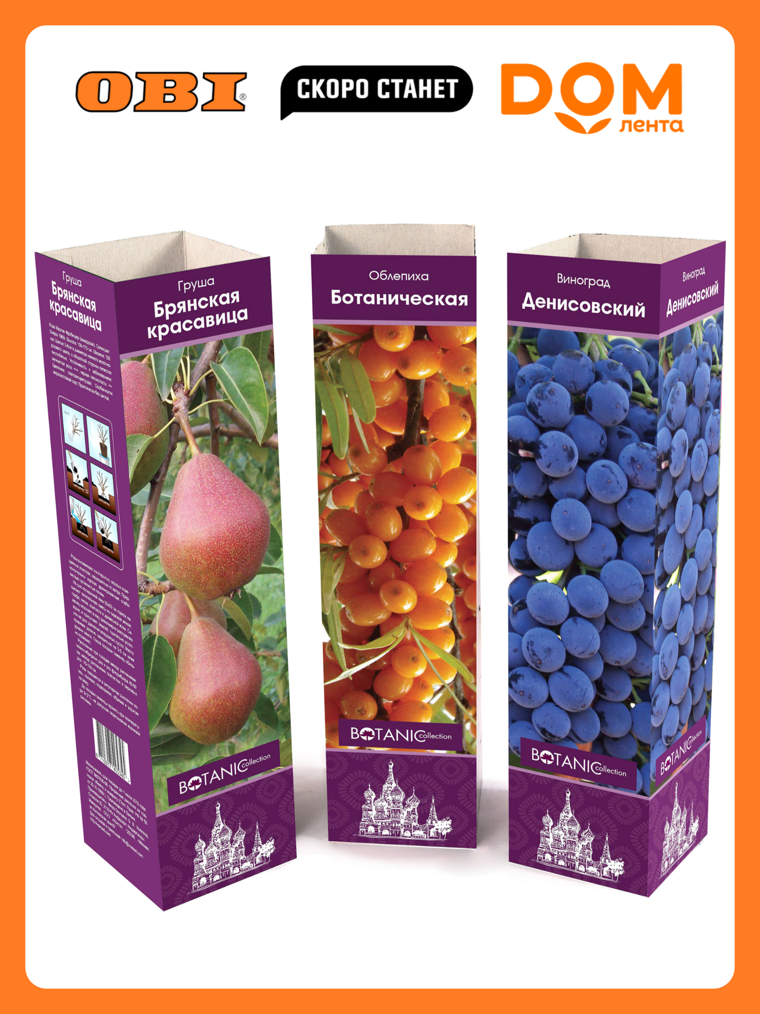 Растение Плодовые растения 7 цветов Ботаник Коллекшн в коробке в ассортименте