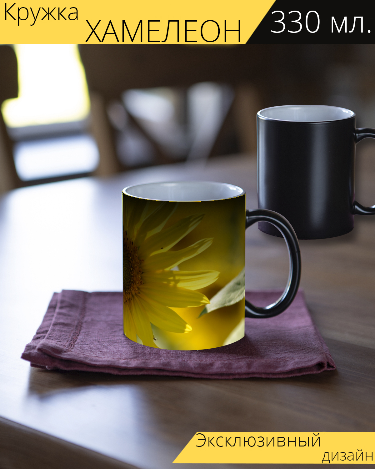 Кружка хамелеон с принтом "Подсолнух, цветок, летом" 330 мл.