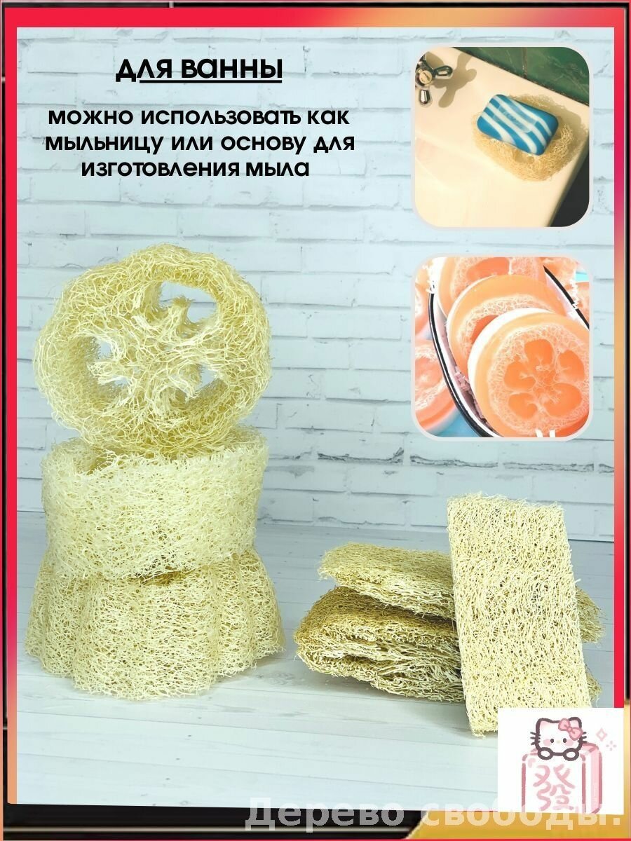 Губка — фото 1