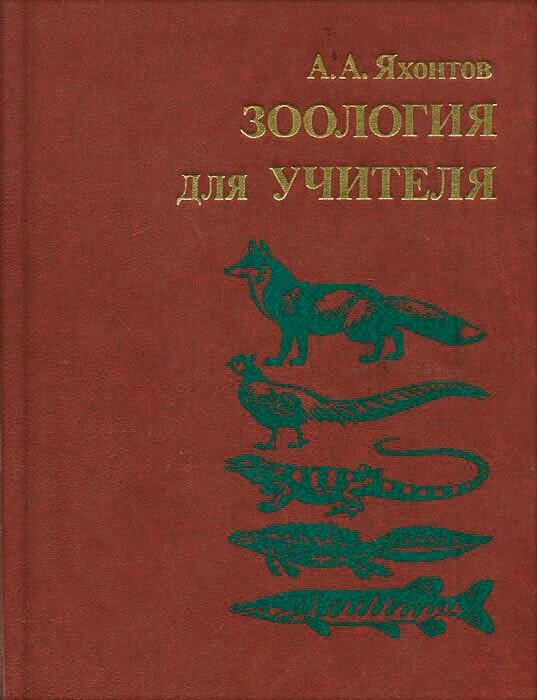 Зоология для учителя. Хордовые