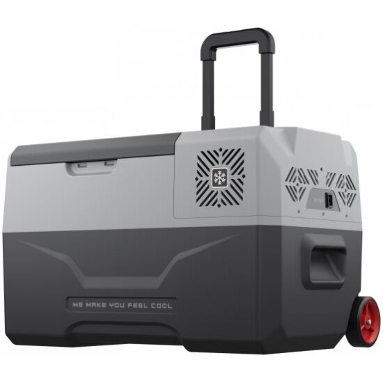 Автомобильный холодильник Alpicool CX30 (12/24)