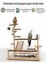 Игровая площадка "Birds Play", для попугаев, дерево, металл.