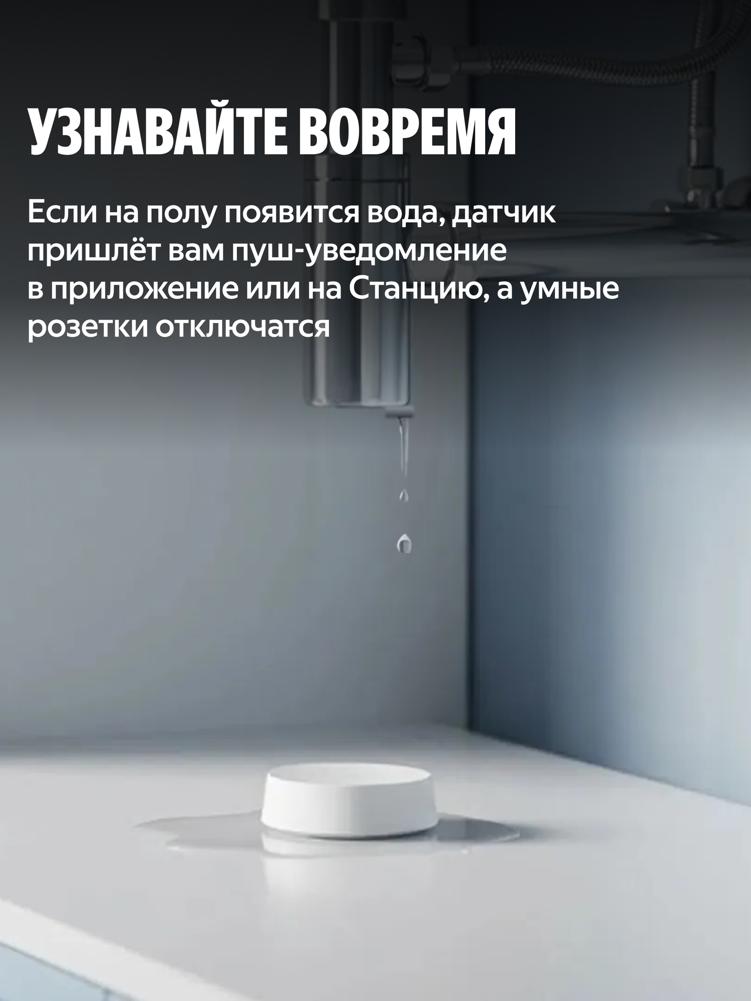 Фотография товара