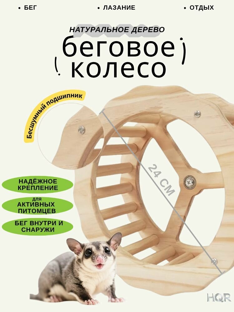 Беговое колесо для животныхБеговое колесо для животныхБеговоеБ