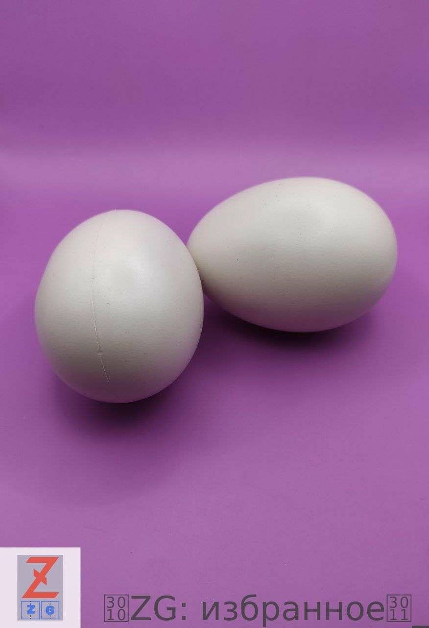 Яйцо подкладное гусиное, 2 шт. (пластик)
