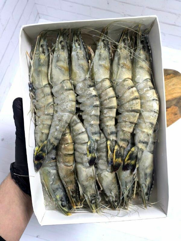 Креветки черные Тигровые (с головой, 16/20, замороженные, 1 кг.) Индия