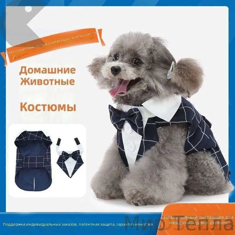 Одежда для собак костюм фрак синий M для собак и кошек праздничная нарядная из полиэстера