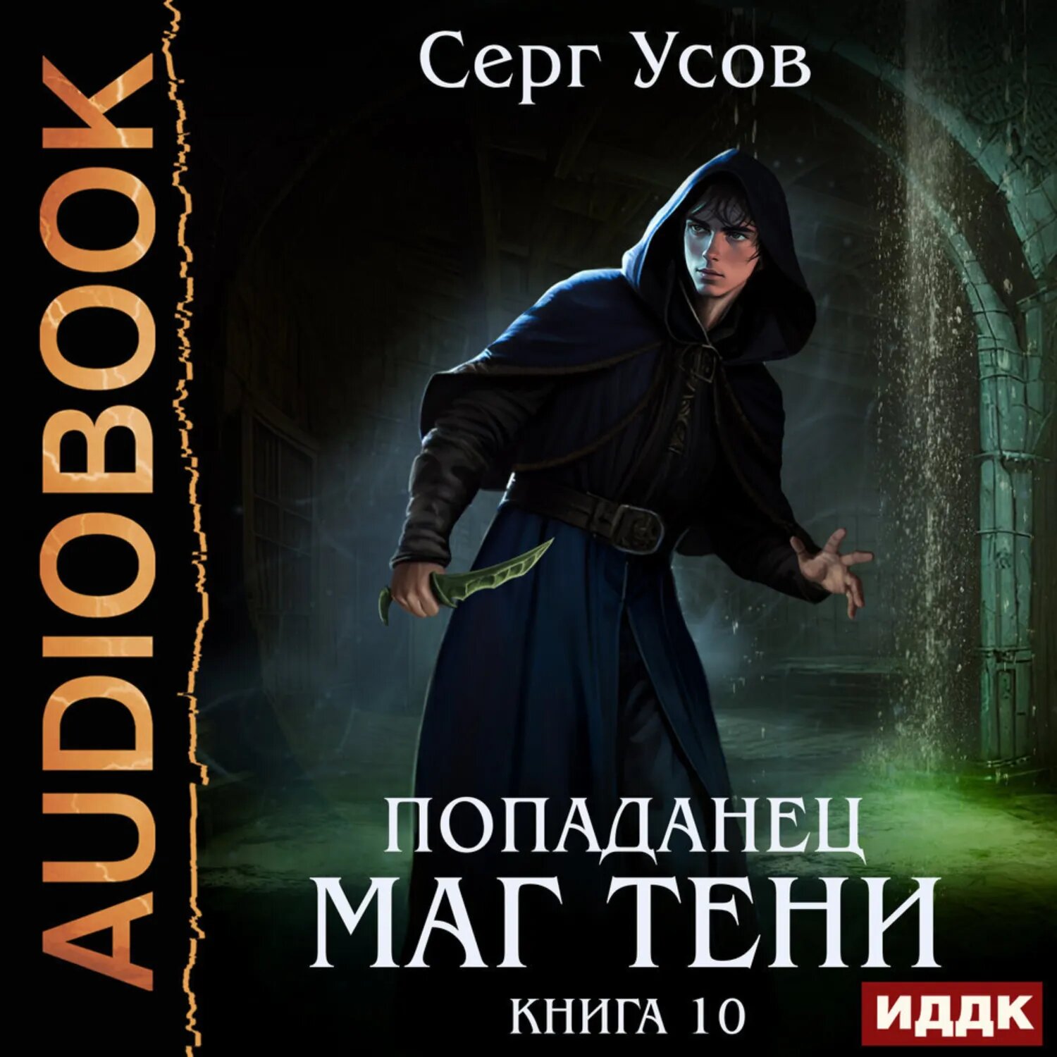 Попаданец. Маг Тени. Книга 10 [Аудиокнига]