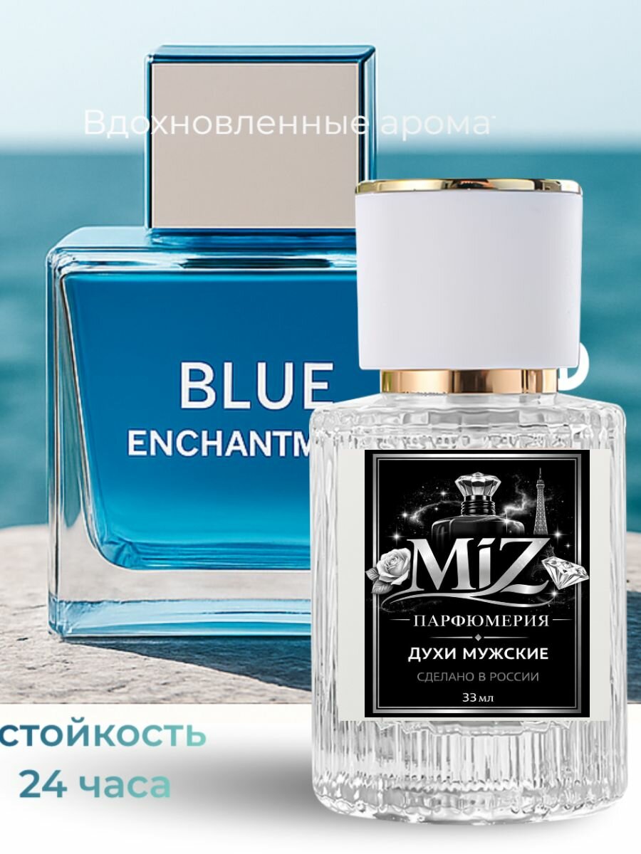 Стойкие мужские духи масло Blue Enchantment спрей 33мл идеальный подарок для настоящего мужчины