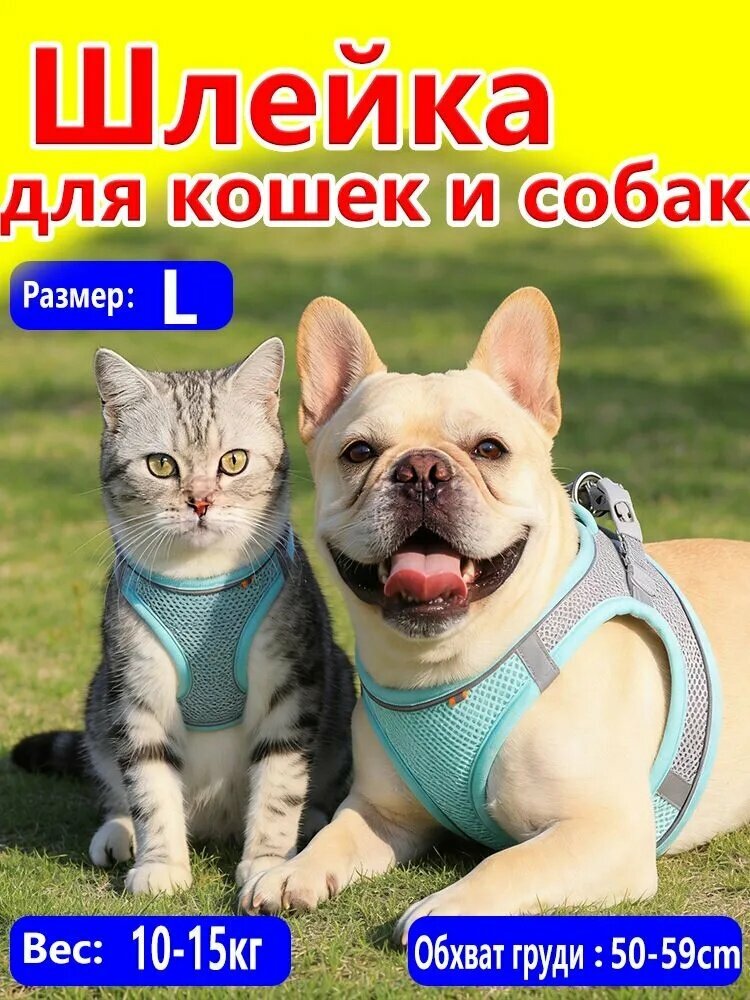 Комфортная грудная шлейка с поводком для кошек и собак