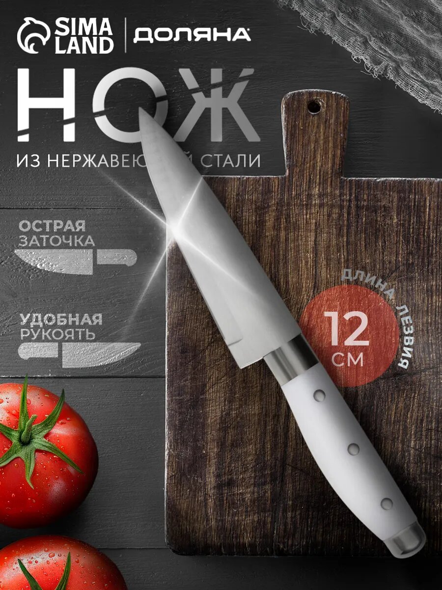 Нож Доляна «Инканто», сталь/пластик, лезвие 12 см, белый/серебристый