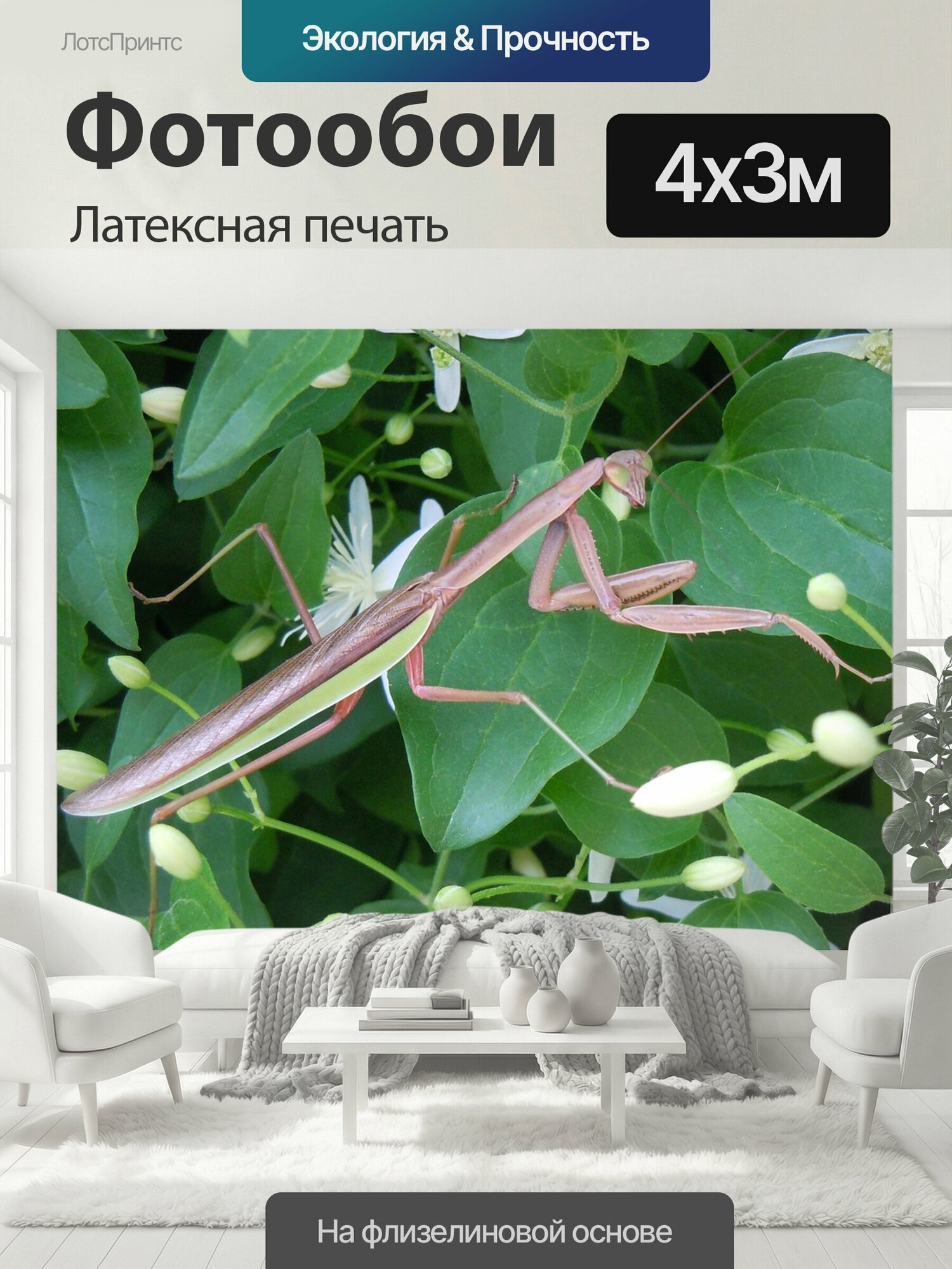 Фотообои моющиеся ударопрочные "Богомол, глаза, зелень" 400x300 см. латексная печать