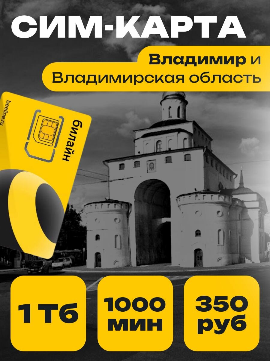 Сим-карта Билайн тариф Эксклюзивный Плюс Владимирская область 1000 Гб + 1000 минут за 350 руб.