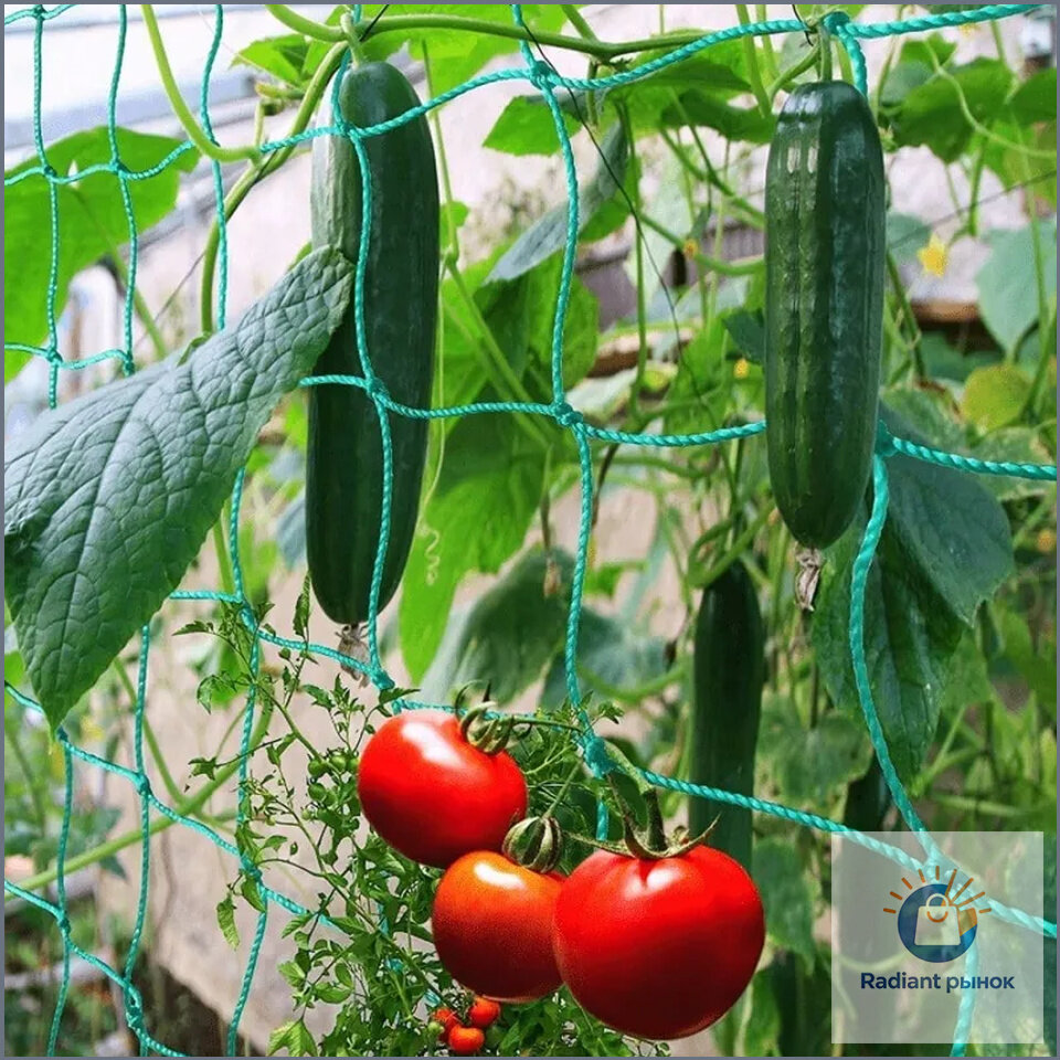 Садовая сетка для подвязки огурцов, томатов, вьющихся культур, прочная, для теплицы и открытого грунта